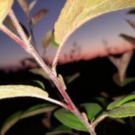 Иконка канала Один день из сельской жизни