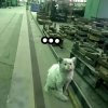 Иконка канала Егорыч на селе