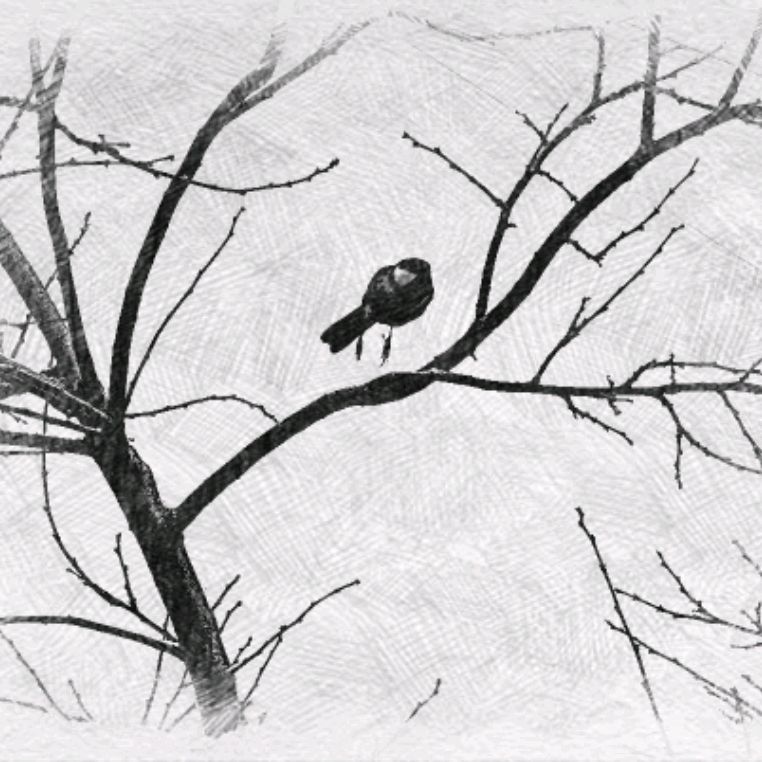 Иконка канала Taйо★