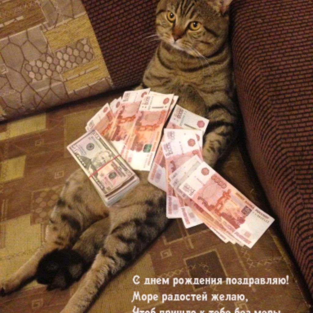 Иконка канала ЗигЗаг