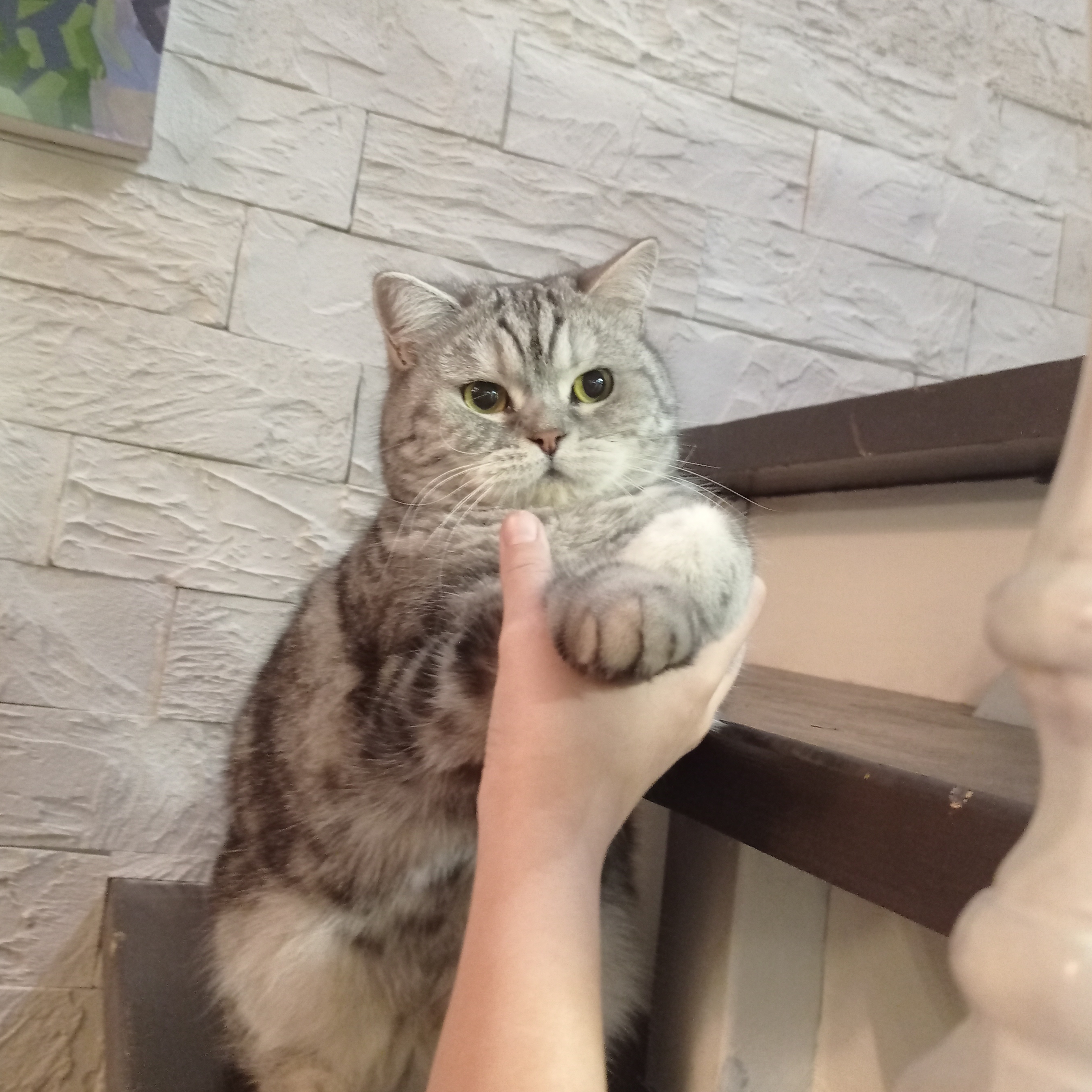 Иконка канала channel54919307