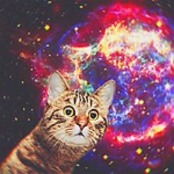 Иконка канала MikhailSochi