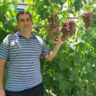Иконка канала Станислав, виноград Астрахань