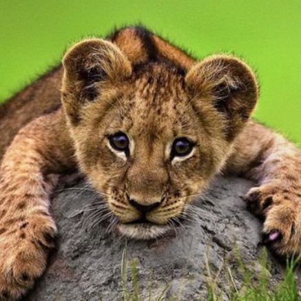 Иконка канала Каменская Анастасия Геннадьевна