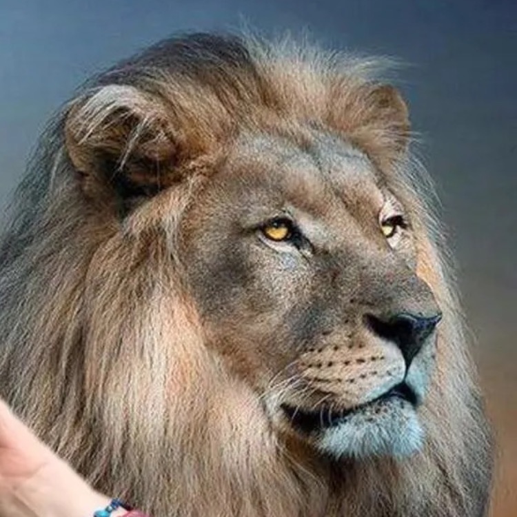 Иконка канала Музыка и творчество