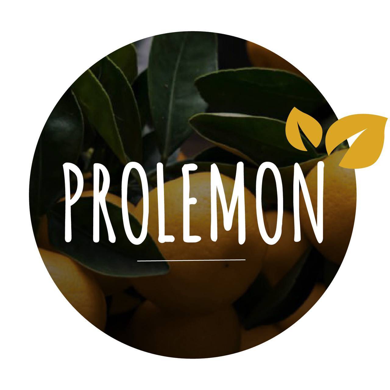 Иконка канала ProLemon.ru