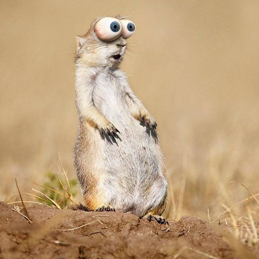 Иконка канала Ржака FM