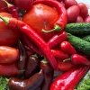 Иконка канала Поедем На Дачу