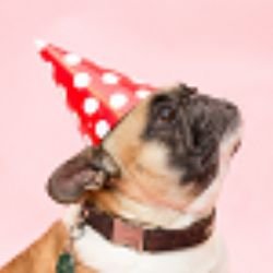 Иконка канала Душа компании игры и конкурсы с экраном