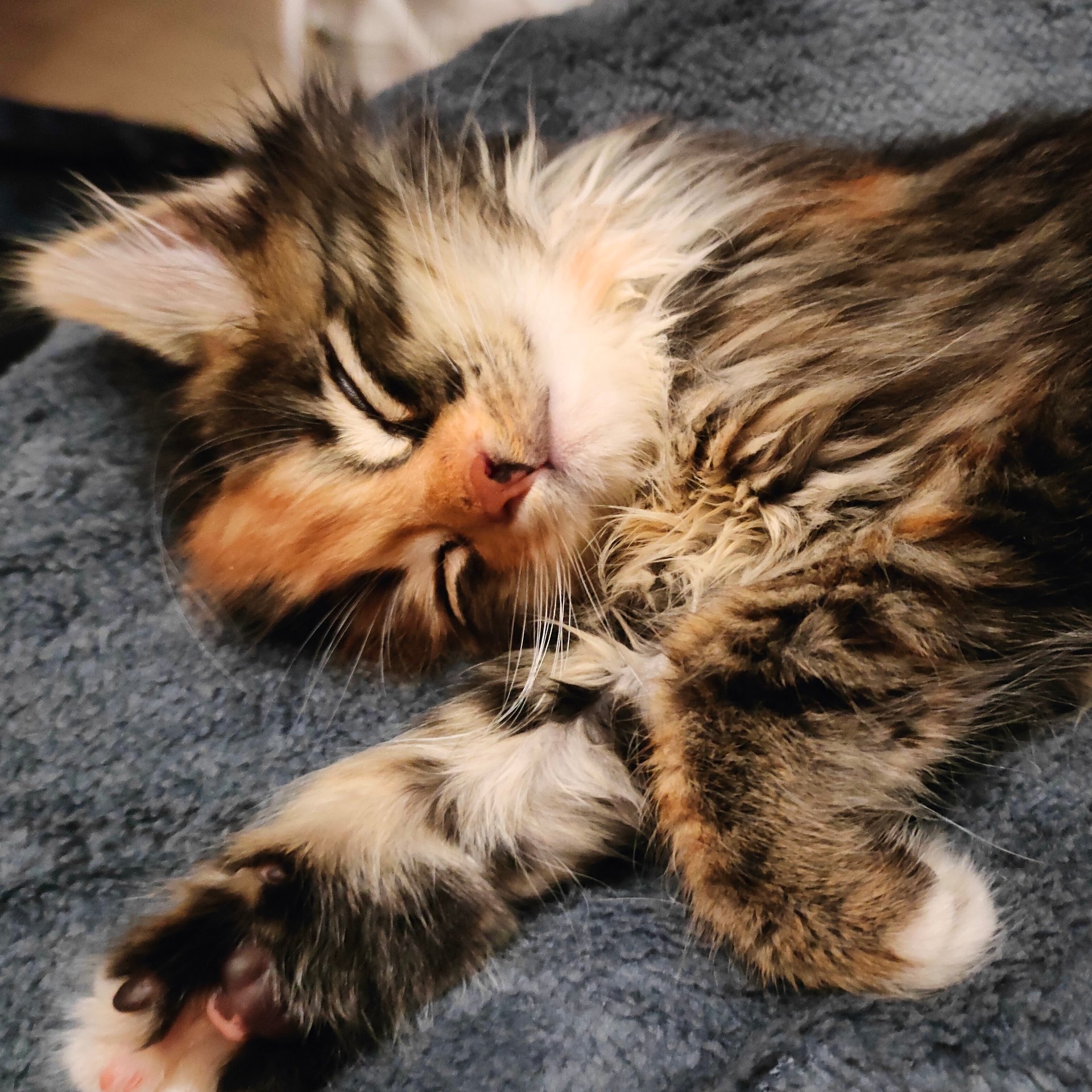 Иконка канала Babayka