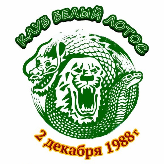 Иконка канала Лабиринты кунг-фу