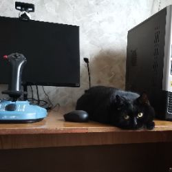 Иконка канала DronFear