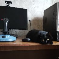 Иконка канала DronFear