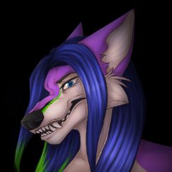 Иконка канала Woofka P&S