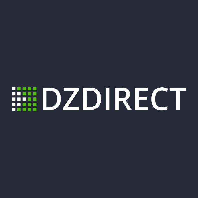 Иконка канала Дмитрий Директолог | Яндекс Директ для B2B