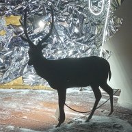 Иконка канала Snareon