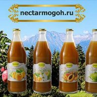Иконка канала nectarmogoh