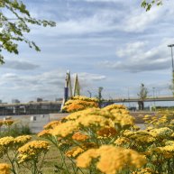 Иконка канала Просто живем