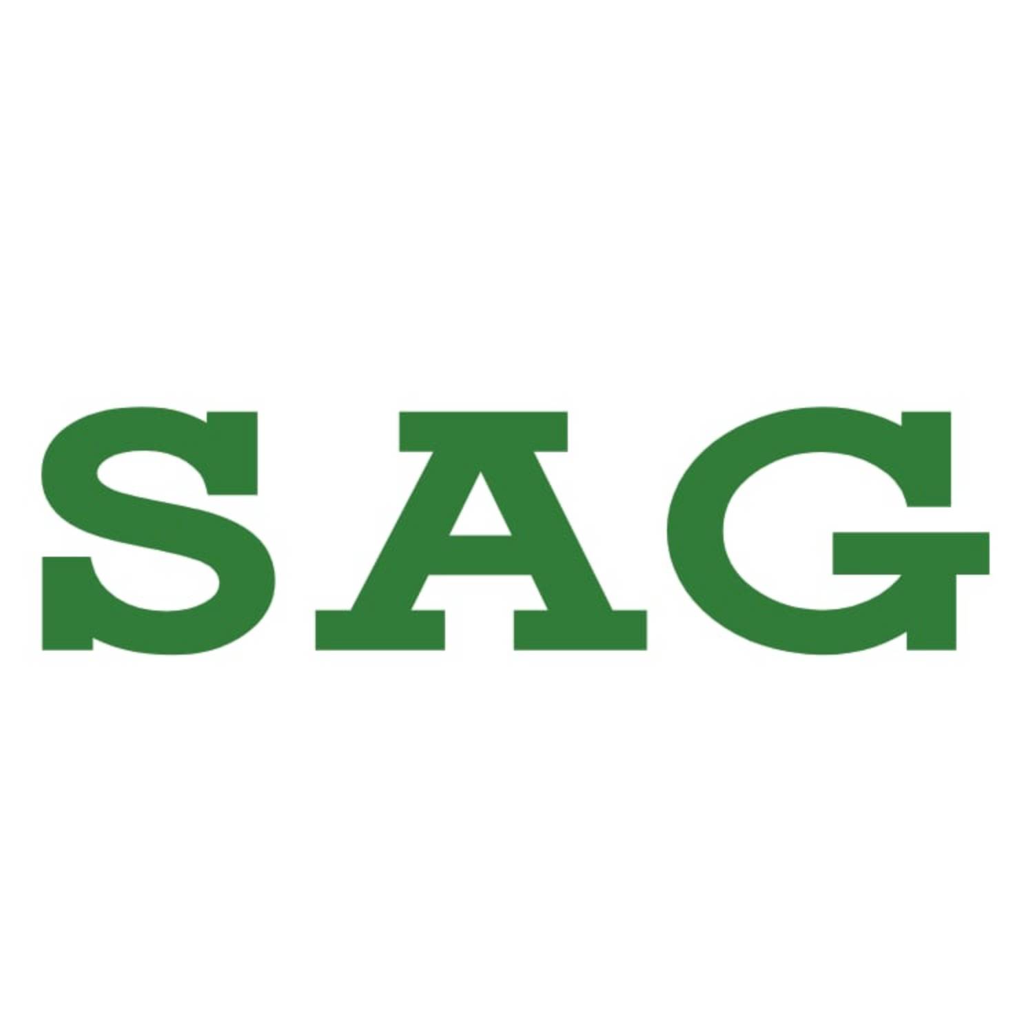 Иконка канала SAG Bearing  Russia