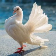 Иконка канала Mr.Coolers