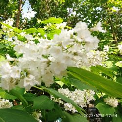 Иконка канала эмоции и красота