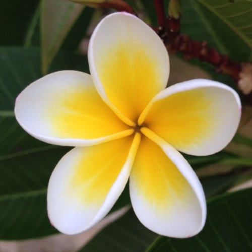 Иконка канала LetoЭтоLove