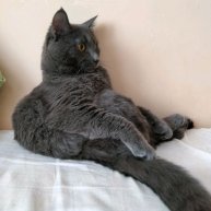 Иконка канала КАРМАН