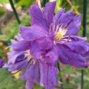 Иконка канала ГОРОДСКАЯ В СЕЛЕ