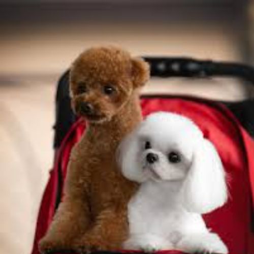 Иконка канала channel43025193