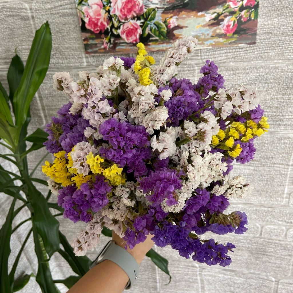 Иконка канала Цветы как хобби