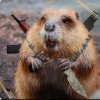 Иконка канала DodrShoy