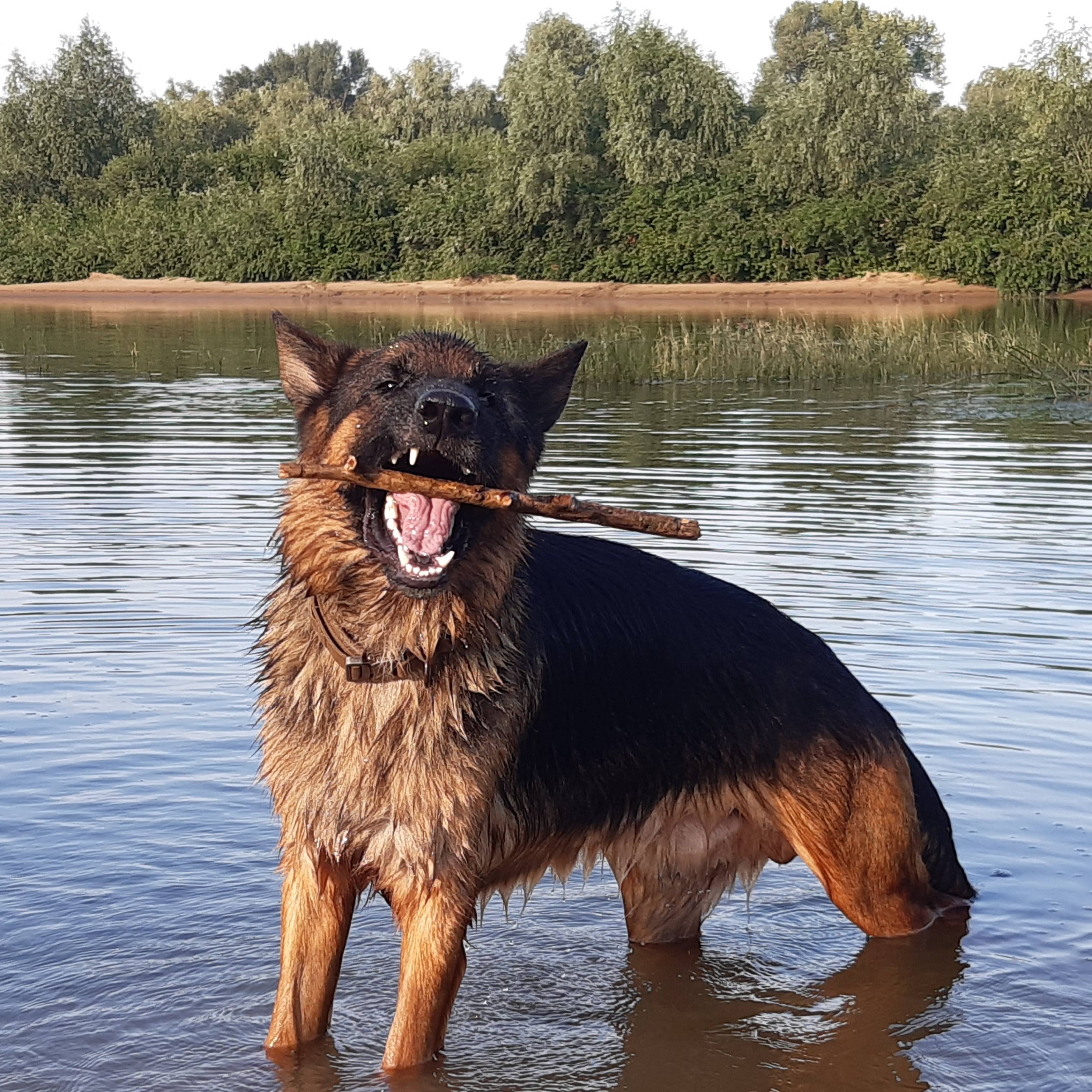 Иконка канала channel51648789