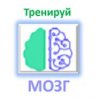 Иконка канала Развитие. Мозг