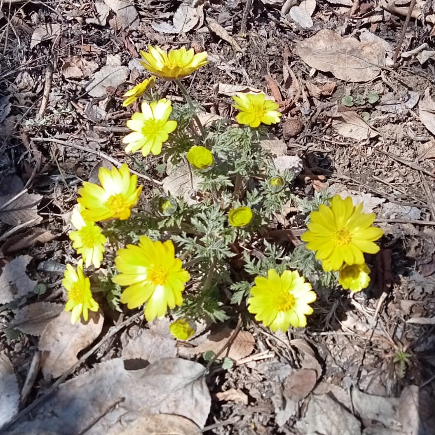 Иконка канала channel55590572