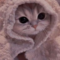 Иконка канала channel39962160