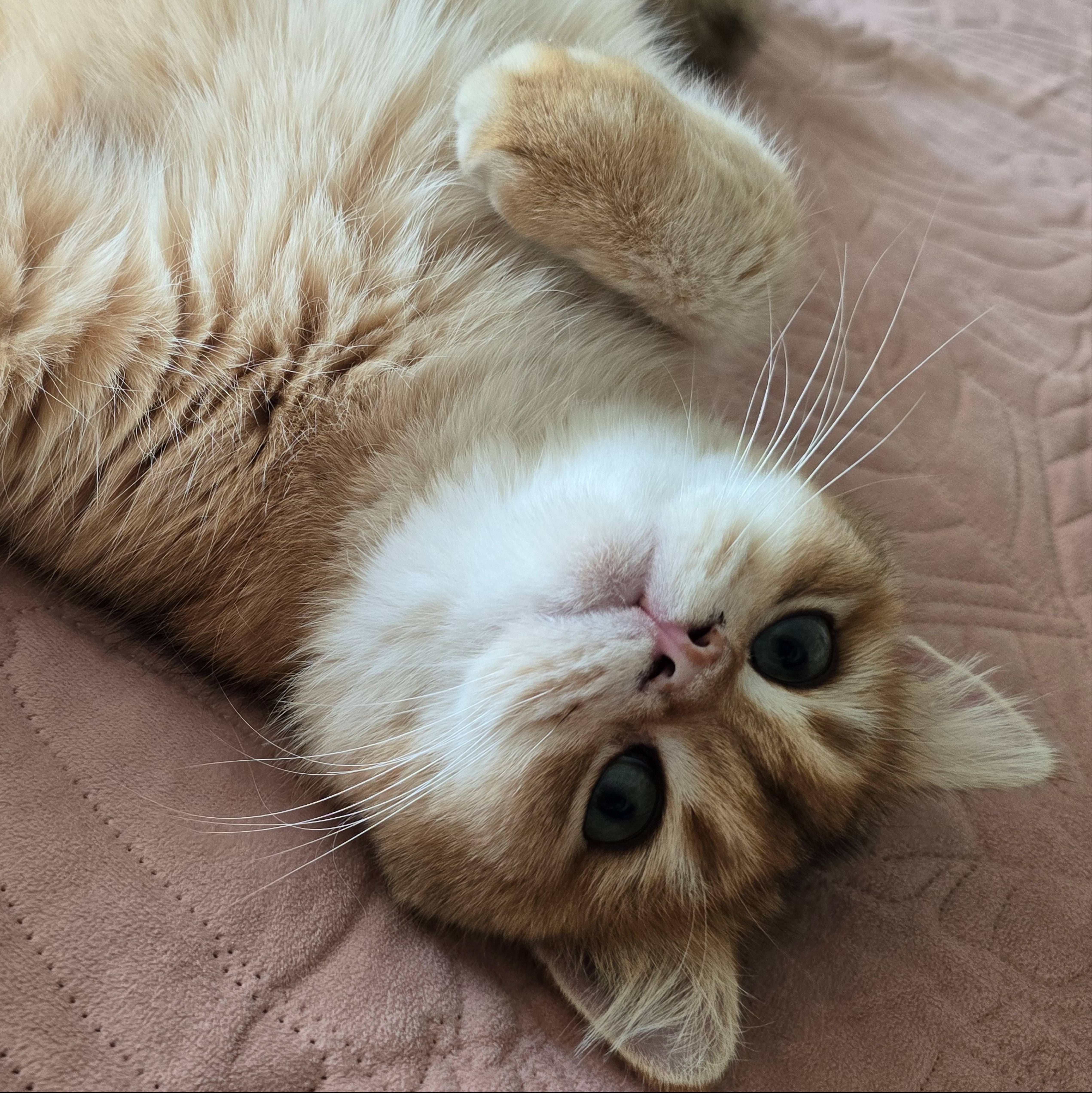 Иконка канала Nature Lab