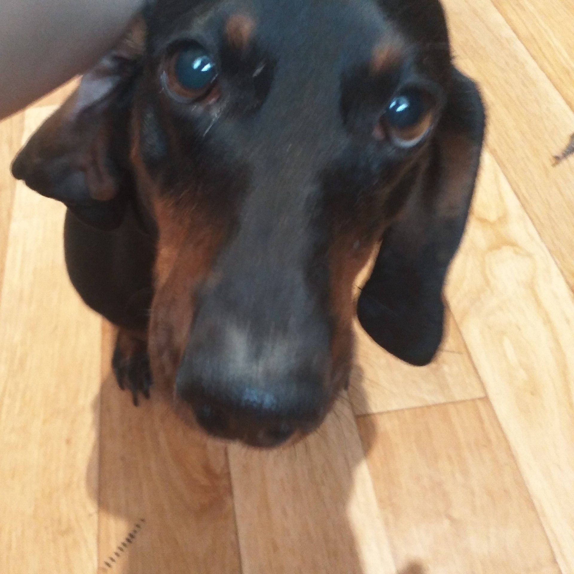 Иконка канала Serega igrok 1996