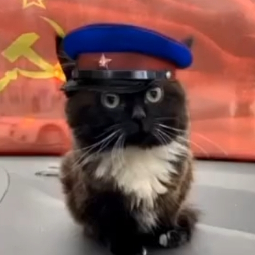 Иконка канала Navik2282