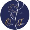 Иконка канала OPEN ICE