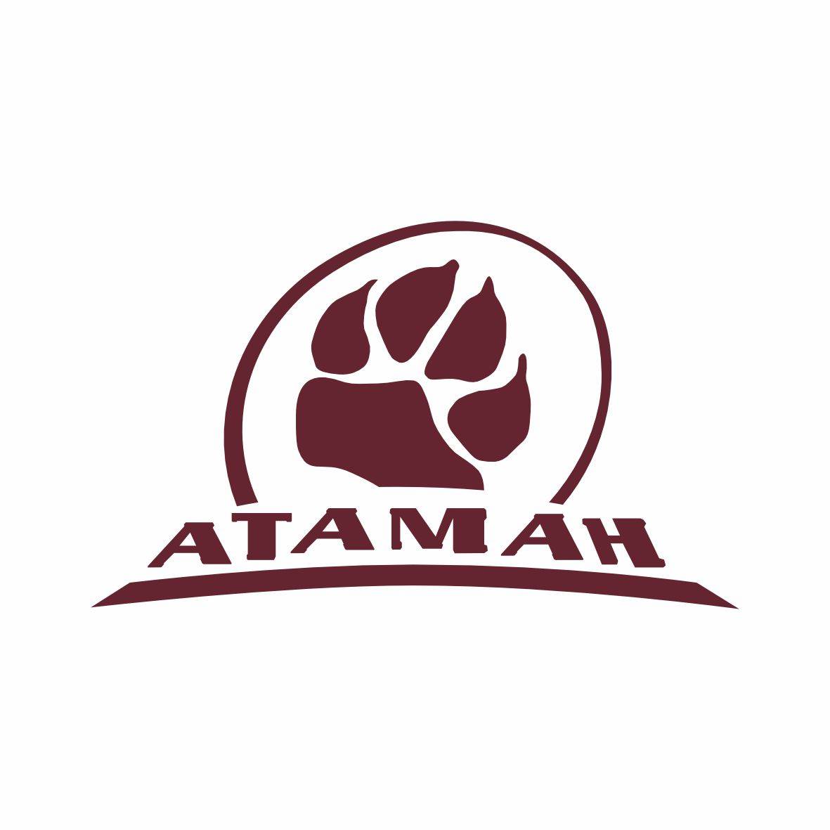 Иконка канала Атаман