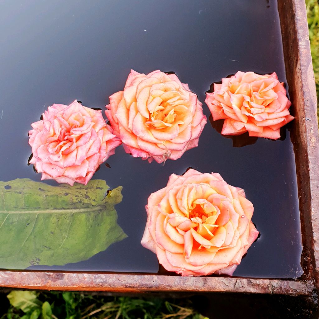 Иконка канала Наталья