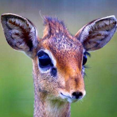 Иконка канала Гуру Ютюбу