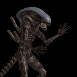 Иконка канала creator