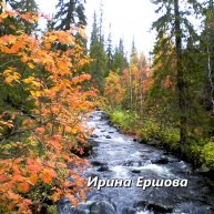Иконка канала Ирина Ершова. Стихи.