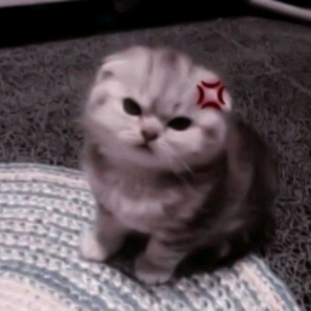 Иконка канала 🐾3 бухарика🐾