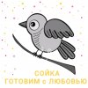 Иконка канала Сойка