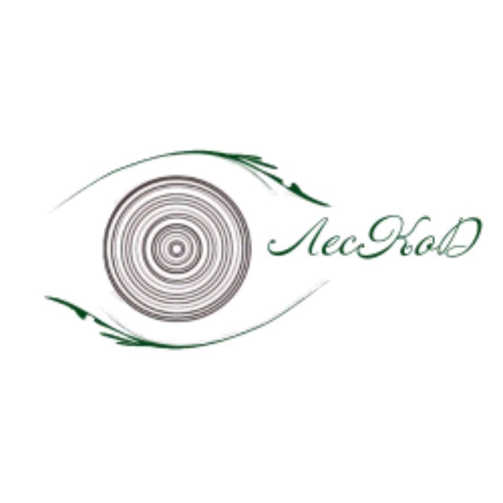 Иконка канала ЛесКоД