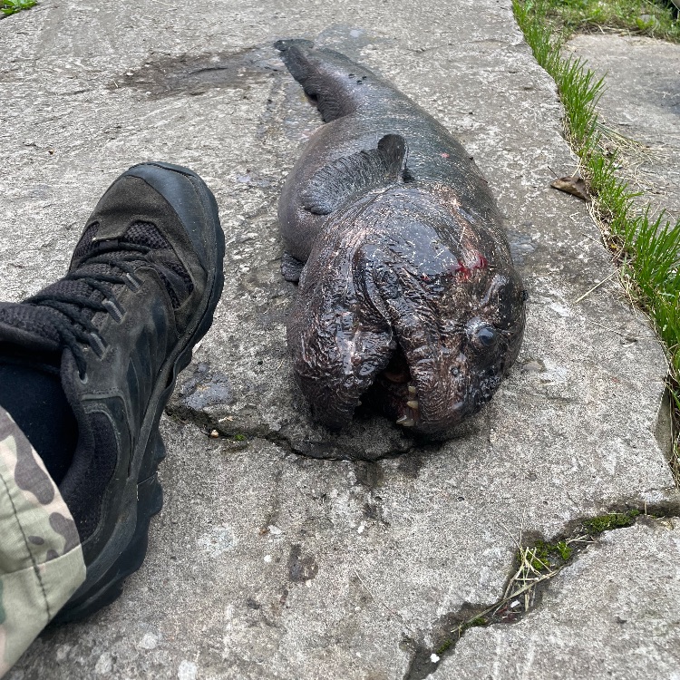 Иконка канала Владимир