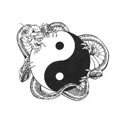 Иконка канала Дао Змея