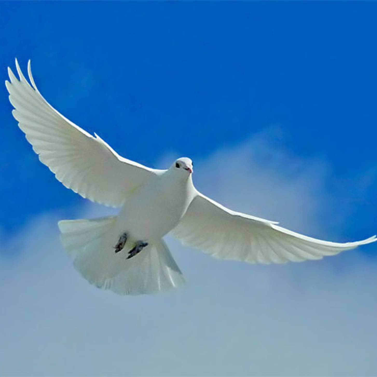 Иконка канала harmony 14447